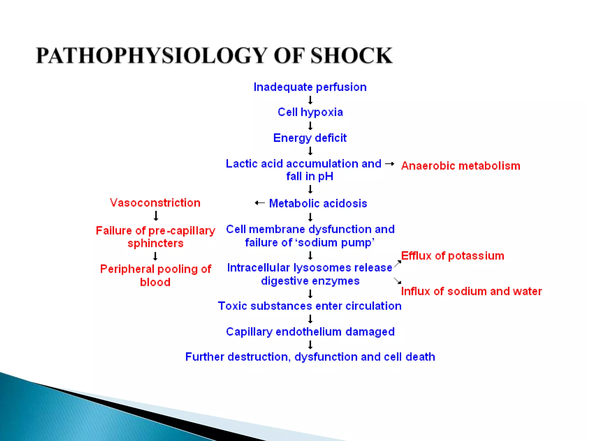 Approach to a patient in shock | PPTX