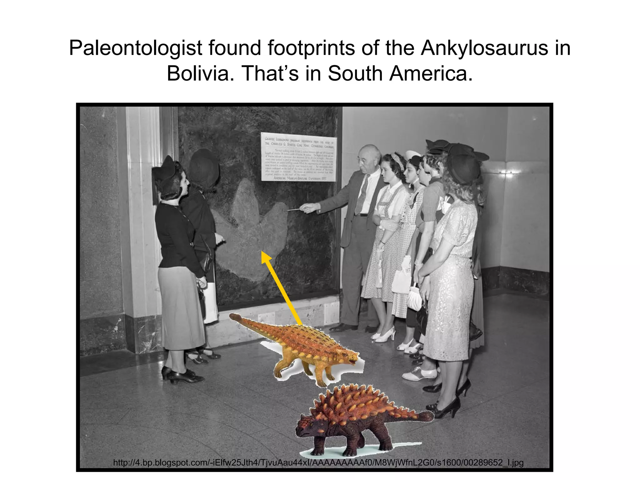 Ankylosaurus | PPT