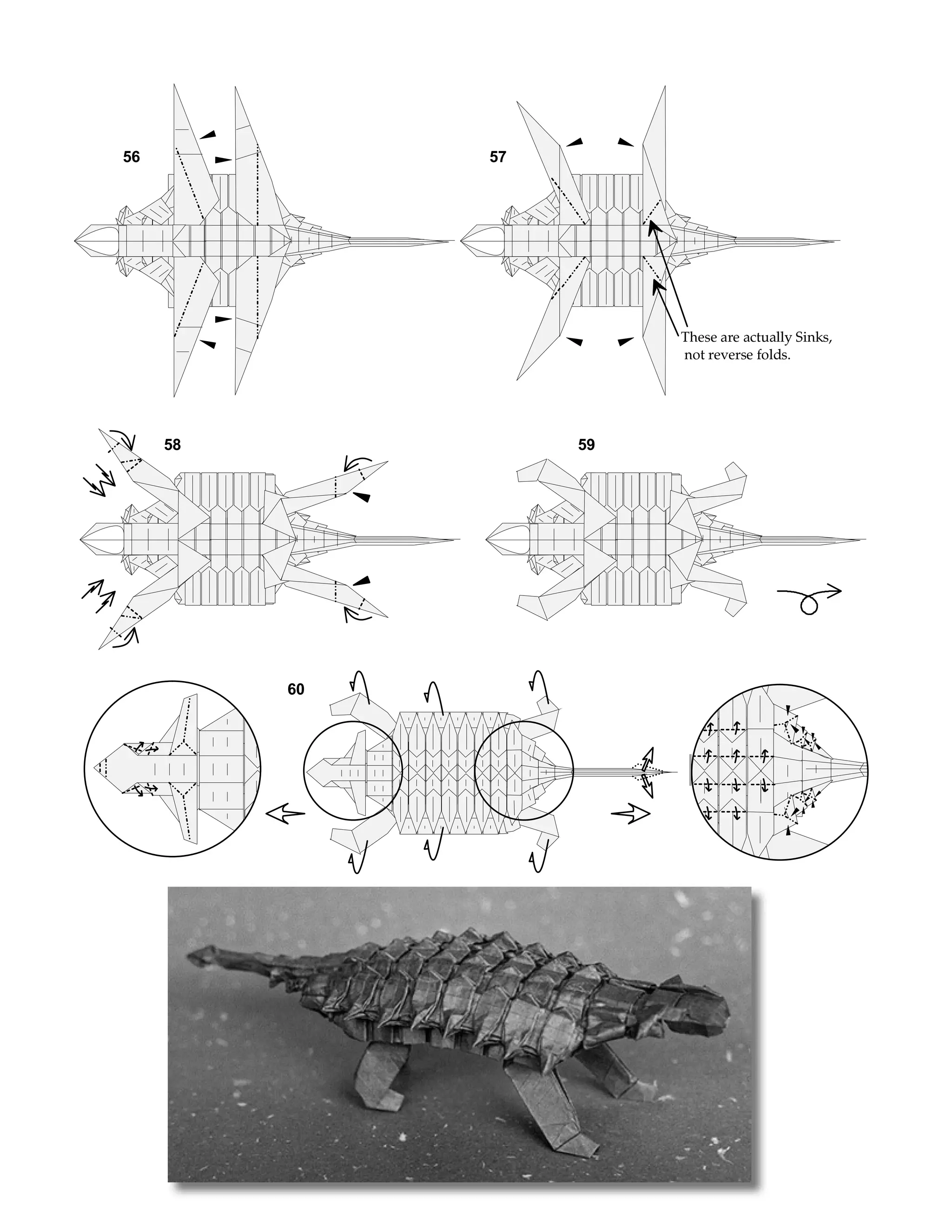 Ankylosaurus | PDF