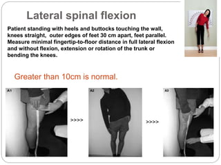 Trunk Flexion Test