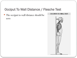 ankylosing spondylitis ankylosis sp.pptx