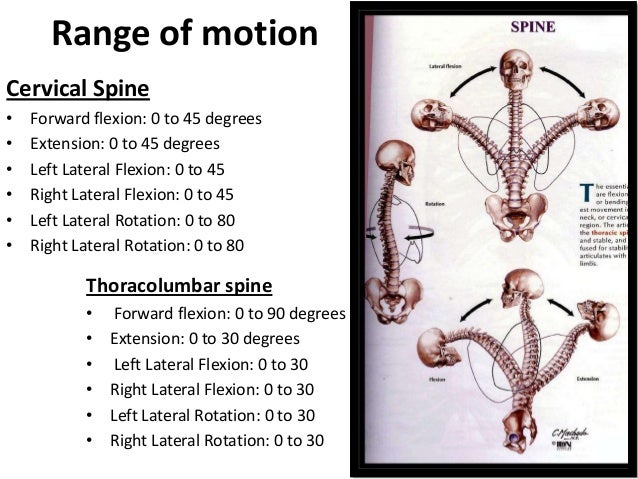 Ankylosing spondylitis UG lecture