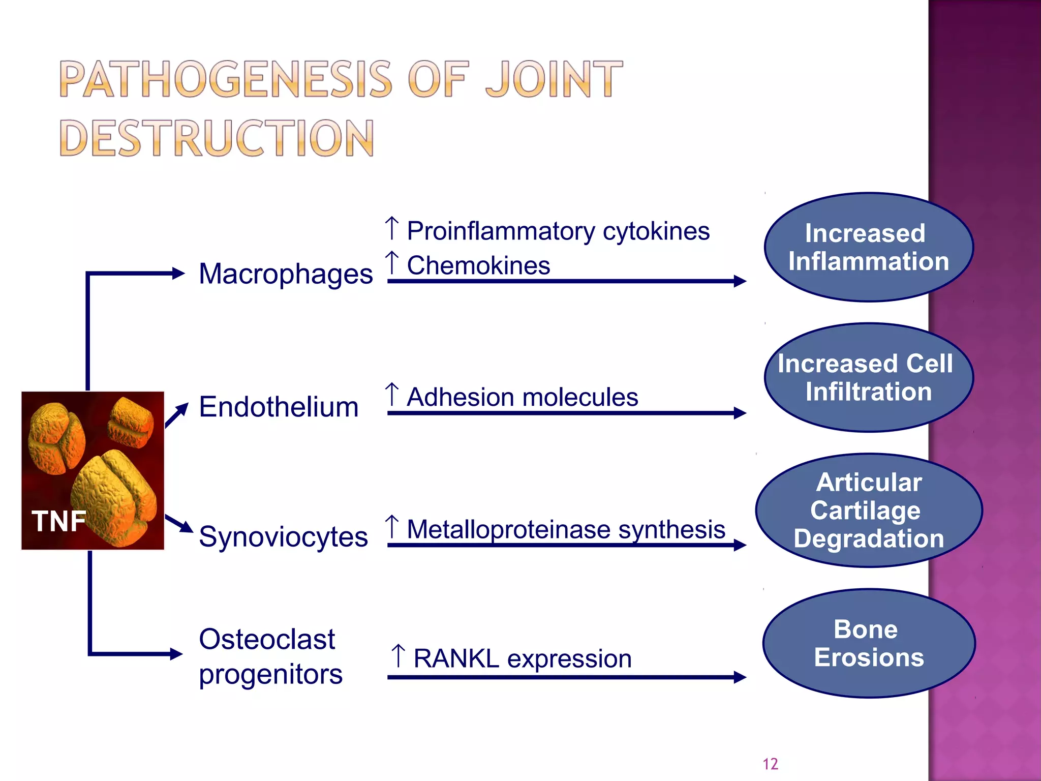 Ankylosing spondylitis pathogenesis | PPT