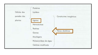 Análise de Fibra Bruta por diferentes Metodologias | PPTX
