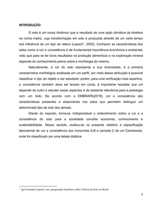 ANÁLISE PRÁTICA DA MORFOLOGIA DO CAMBISSOLO: COR E CONSISTÊNCIA | PDF