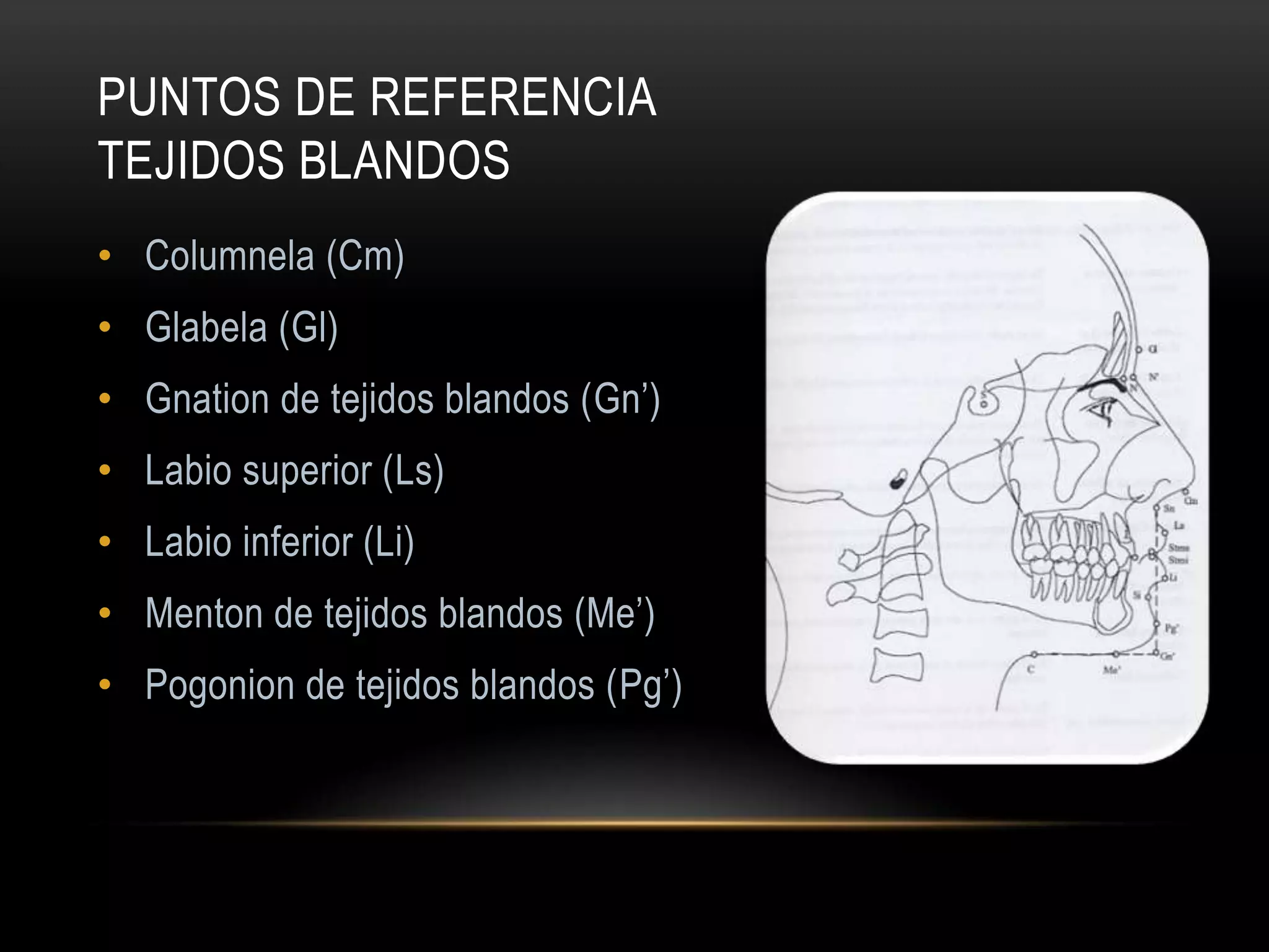 Análisis cefalométrico de legan y burston | PPTX