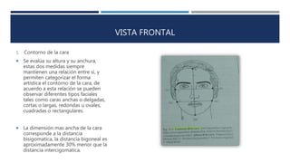 Análisis clínico facial de arnett y bergman | PPTX