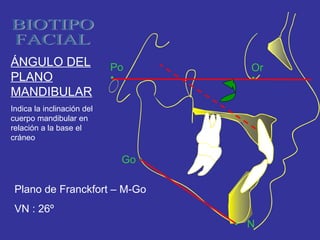 Análisis de ricketts | PPT