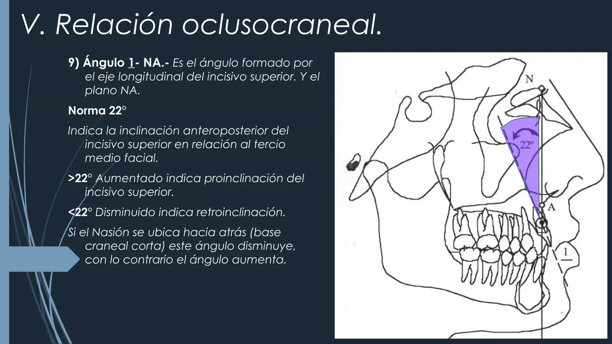 CEFALOMETRÍA DE STEINER | PPT