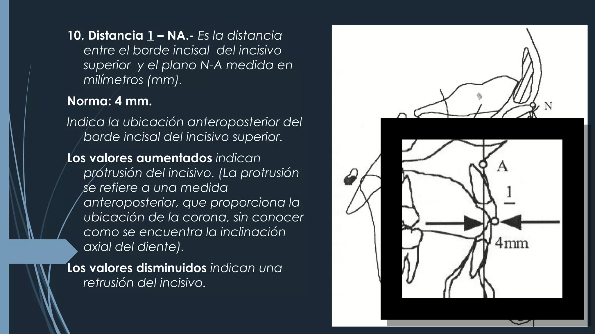 CEFALOMETRÍA DE STEINER | PPT