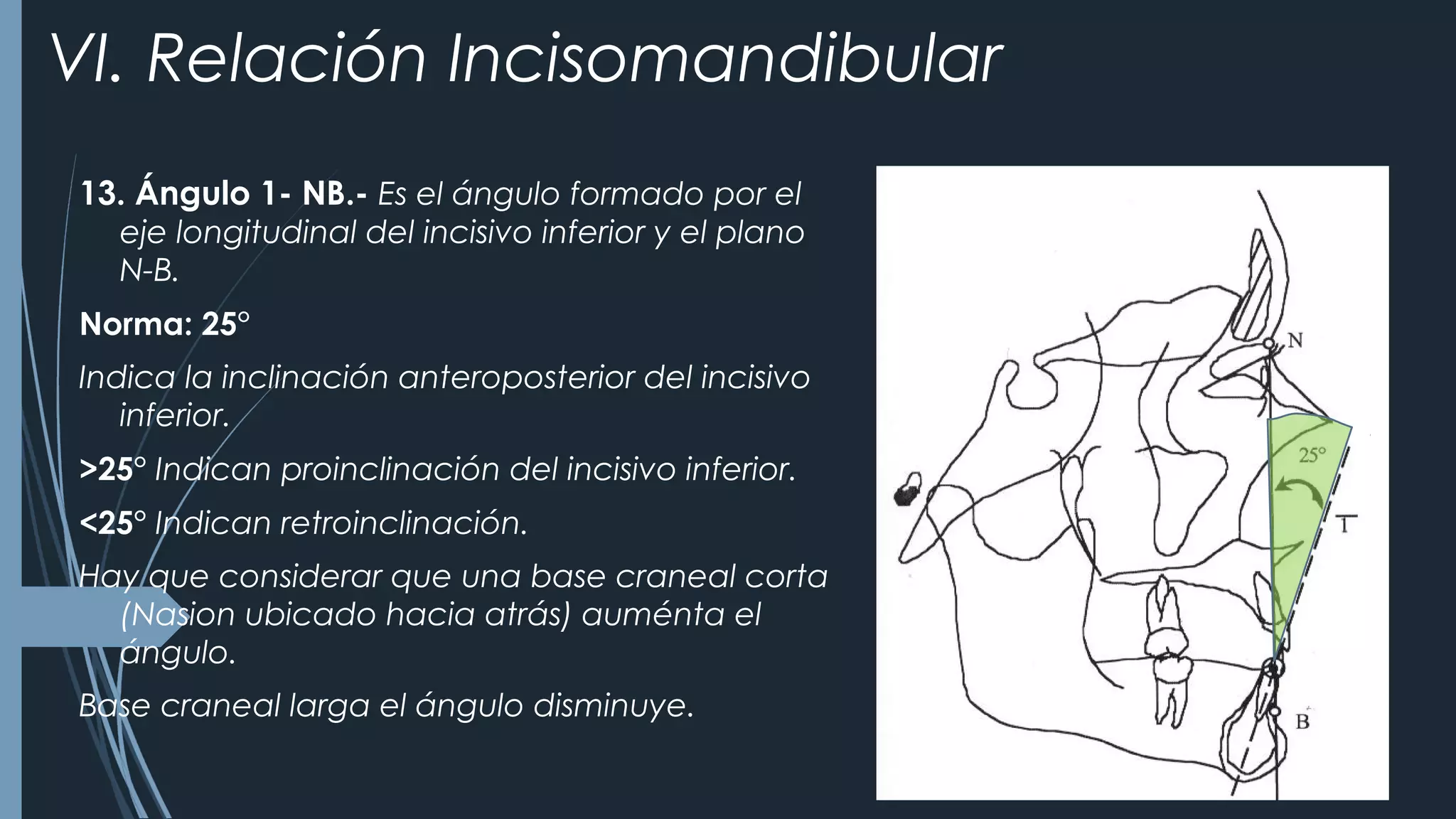 CEFALOMETRÍA DE STEINER | PPT