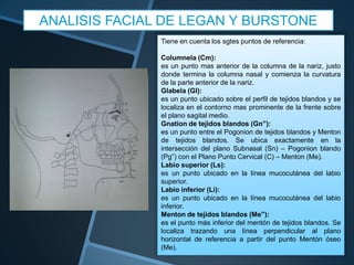 Análisis facial expo | PPTX