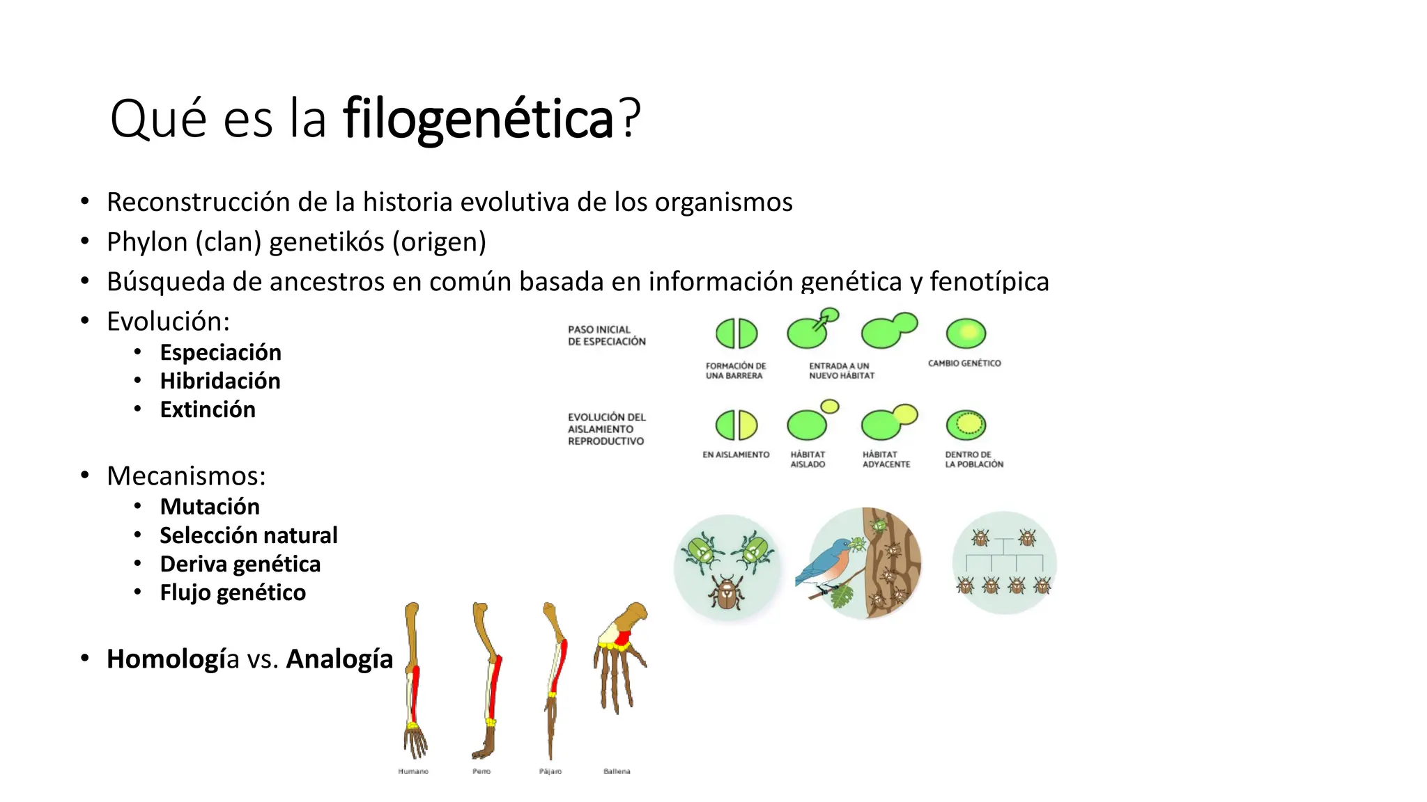 Qué es la filogenética? • Reconstrucción de la historia evolutiva de ...