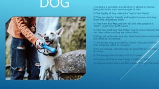 Animal learning | PPT