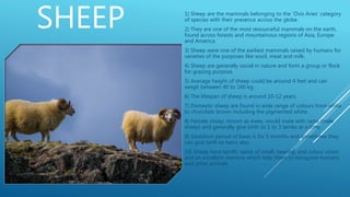 Animal learning | PPT