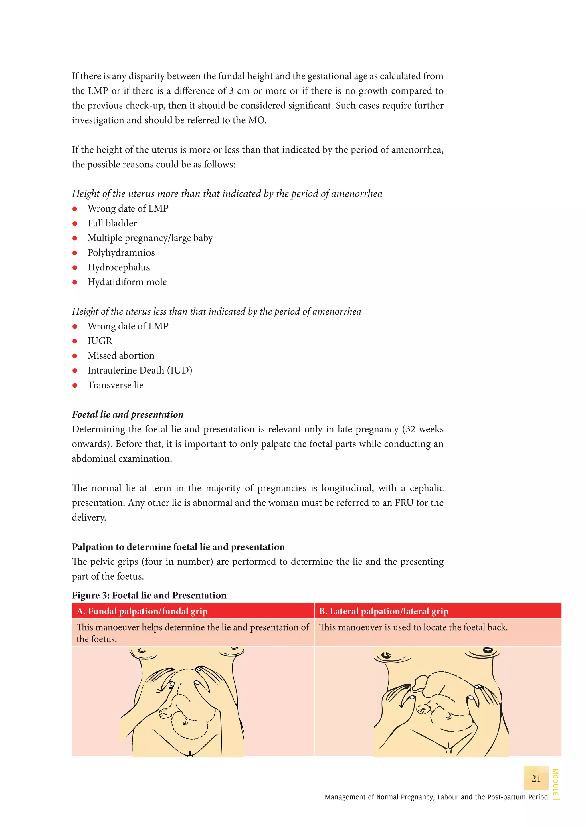 Guidelines for antenatal care and skilled attendance at birth by ANMs ...