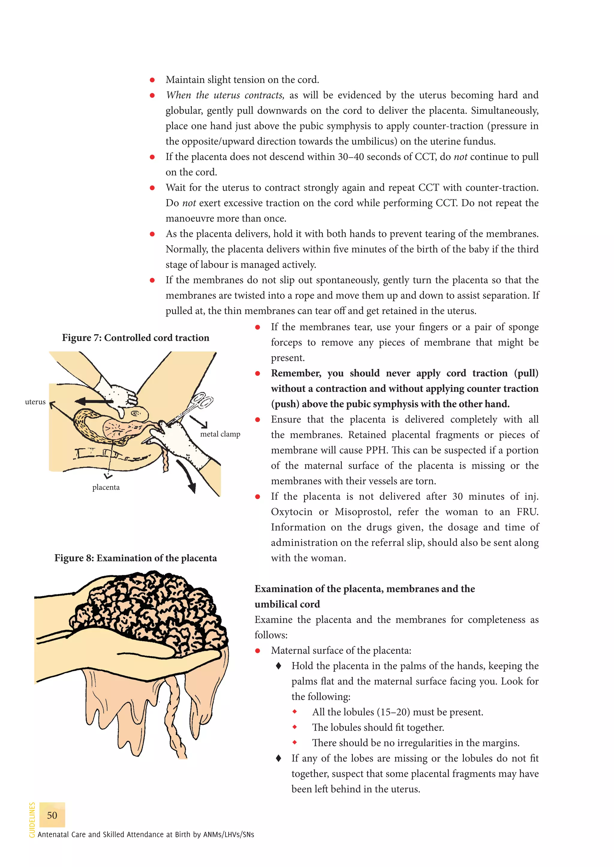 Guidelines for antenatal care and skilled attendance at birth by ANMs ...