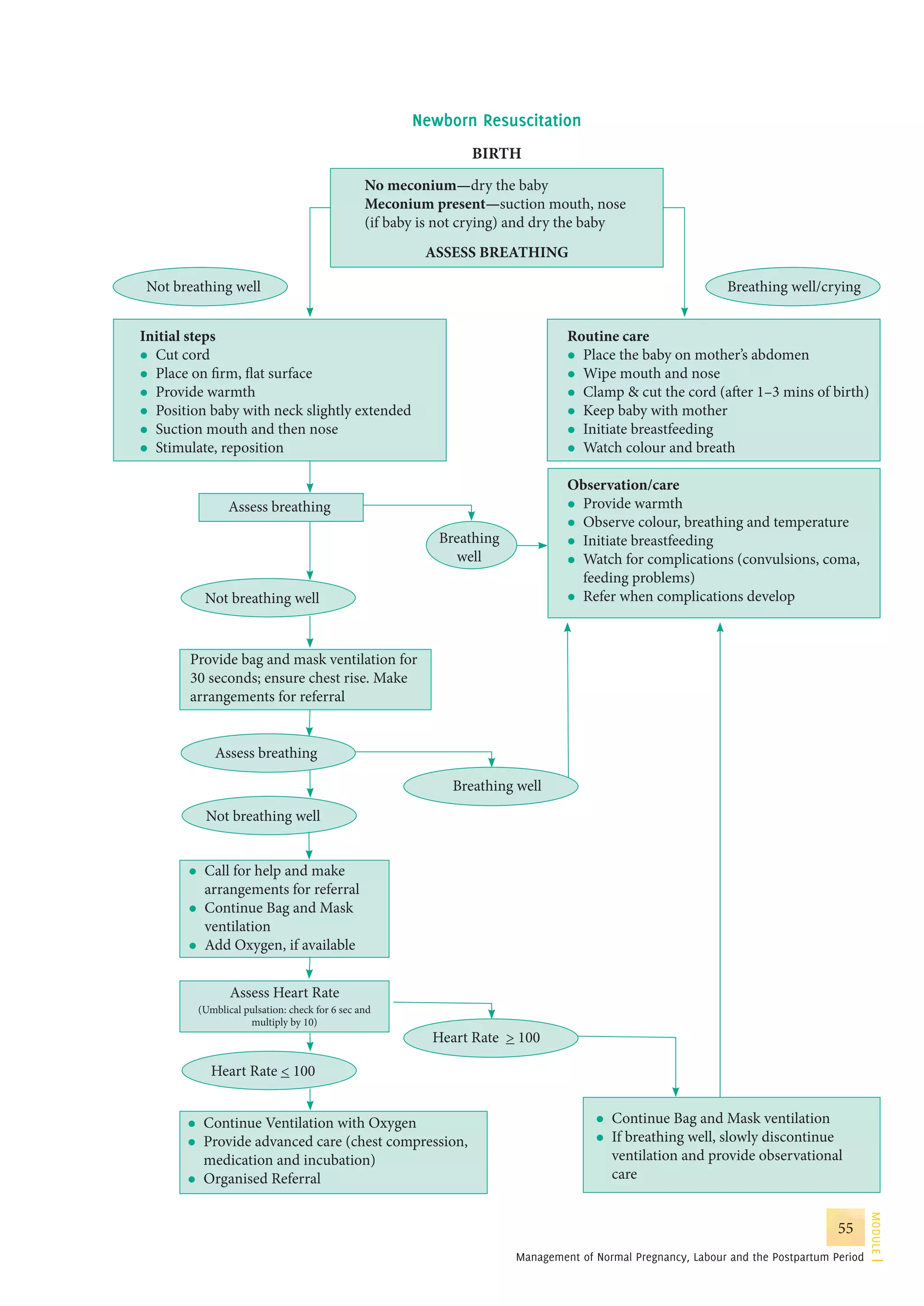 Guidelines for antenatal care and skilled attendance at birth by ANMs ...