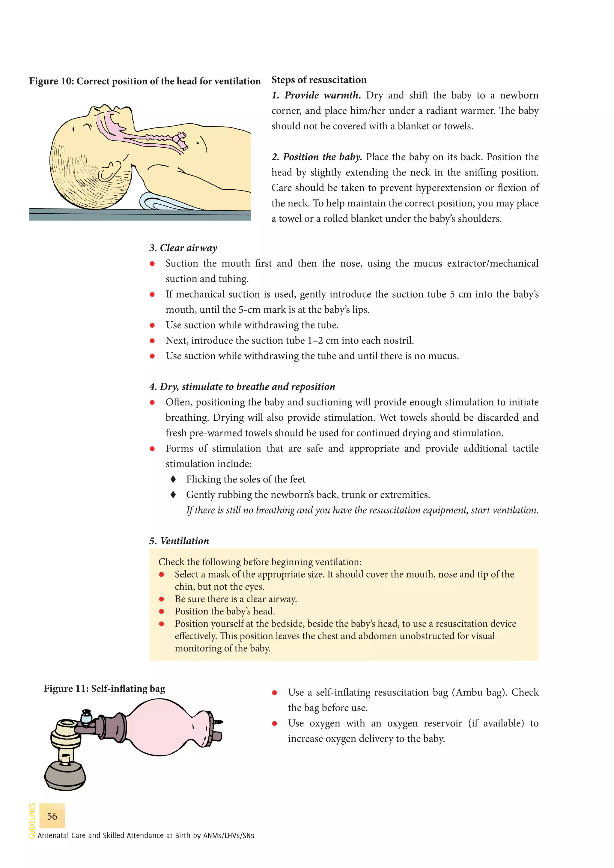 Guidelines for antenatal care and skilled attendance at birth by ANMs ...
