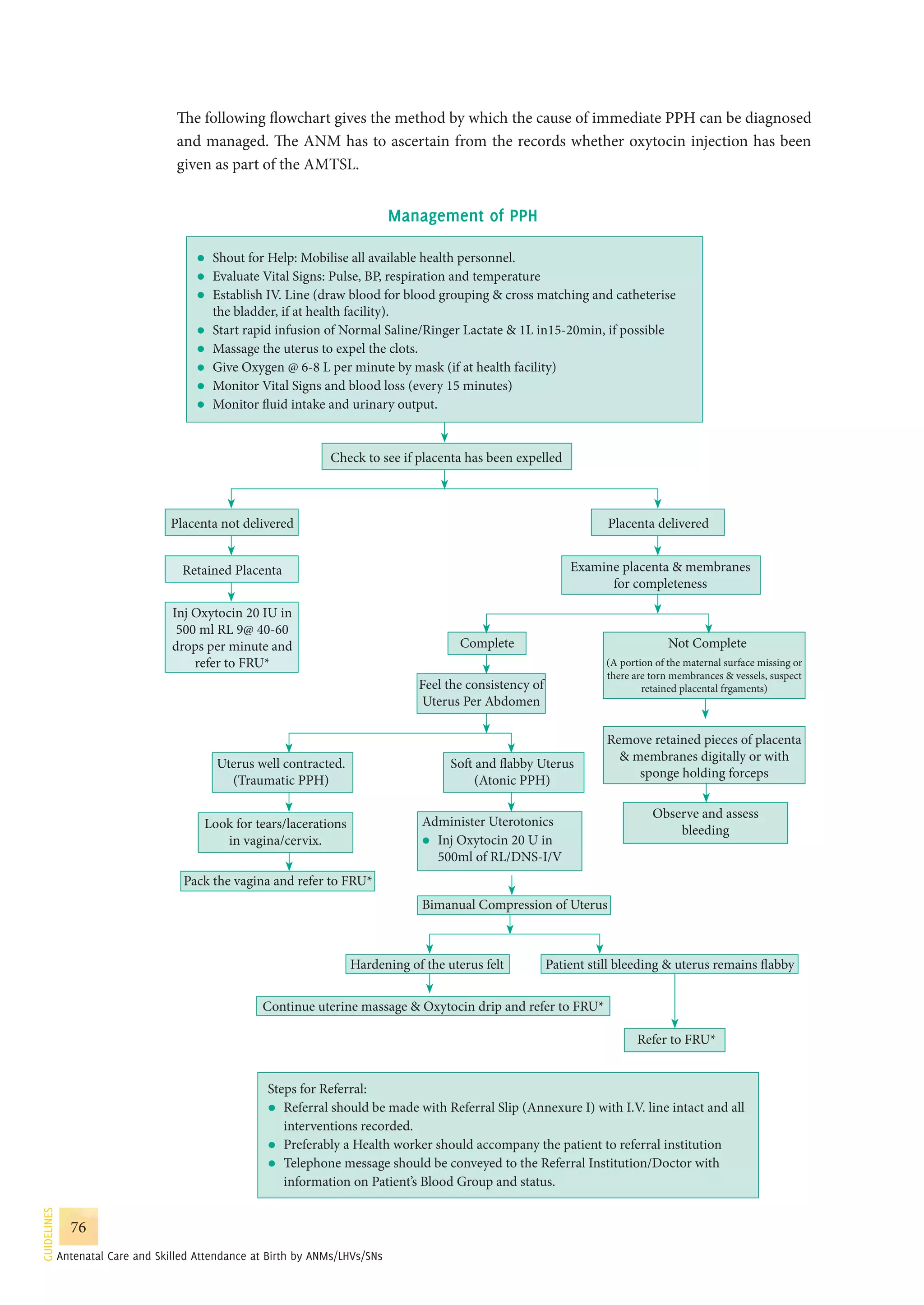 Guidelines for antenatal care and skilled attendance at birth by ANMs ...