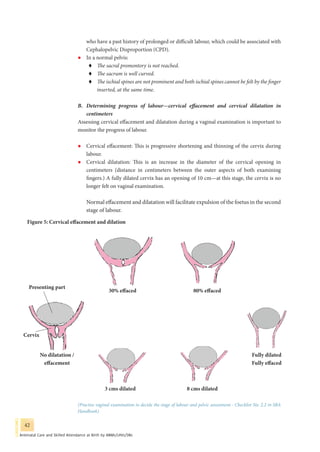 Guidelines for antenatal care and skilled attendance at birth by ANMs ...