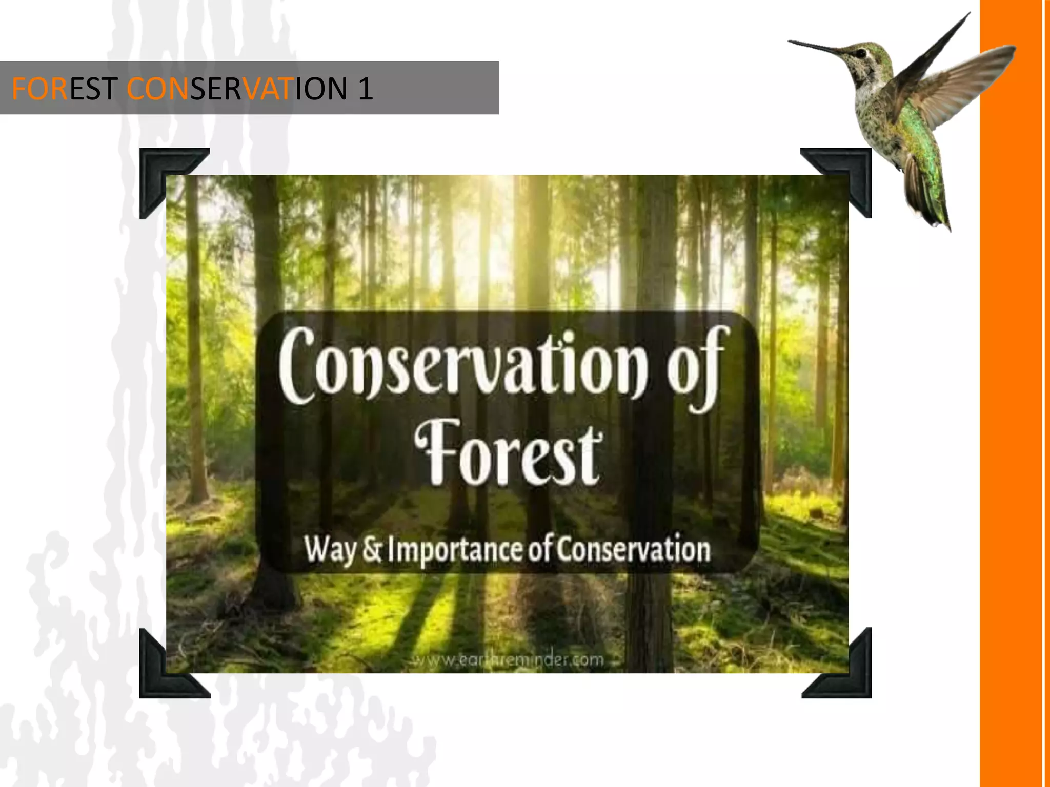 Forest conservation | PPTX