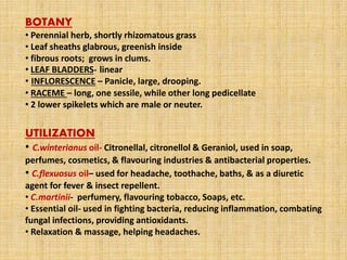 Aromatic Plants -origin, botany, utilization | PPTX