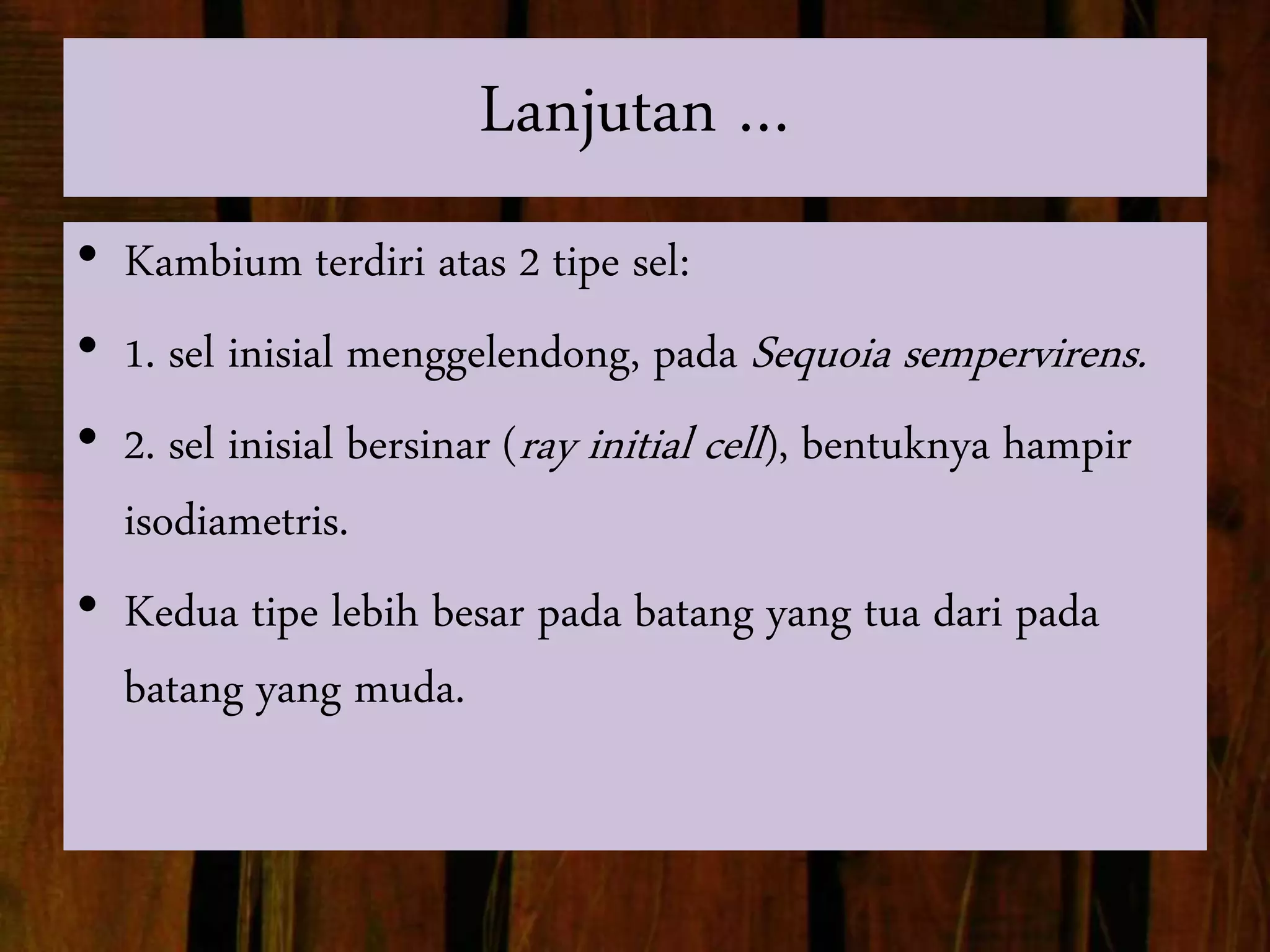 Anatomi batang | PPTX