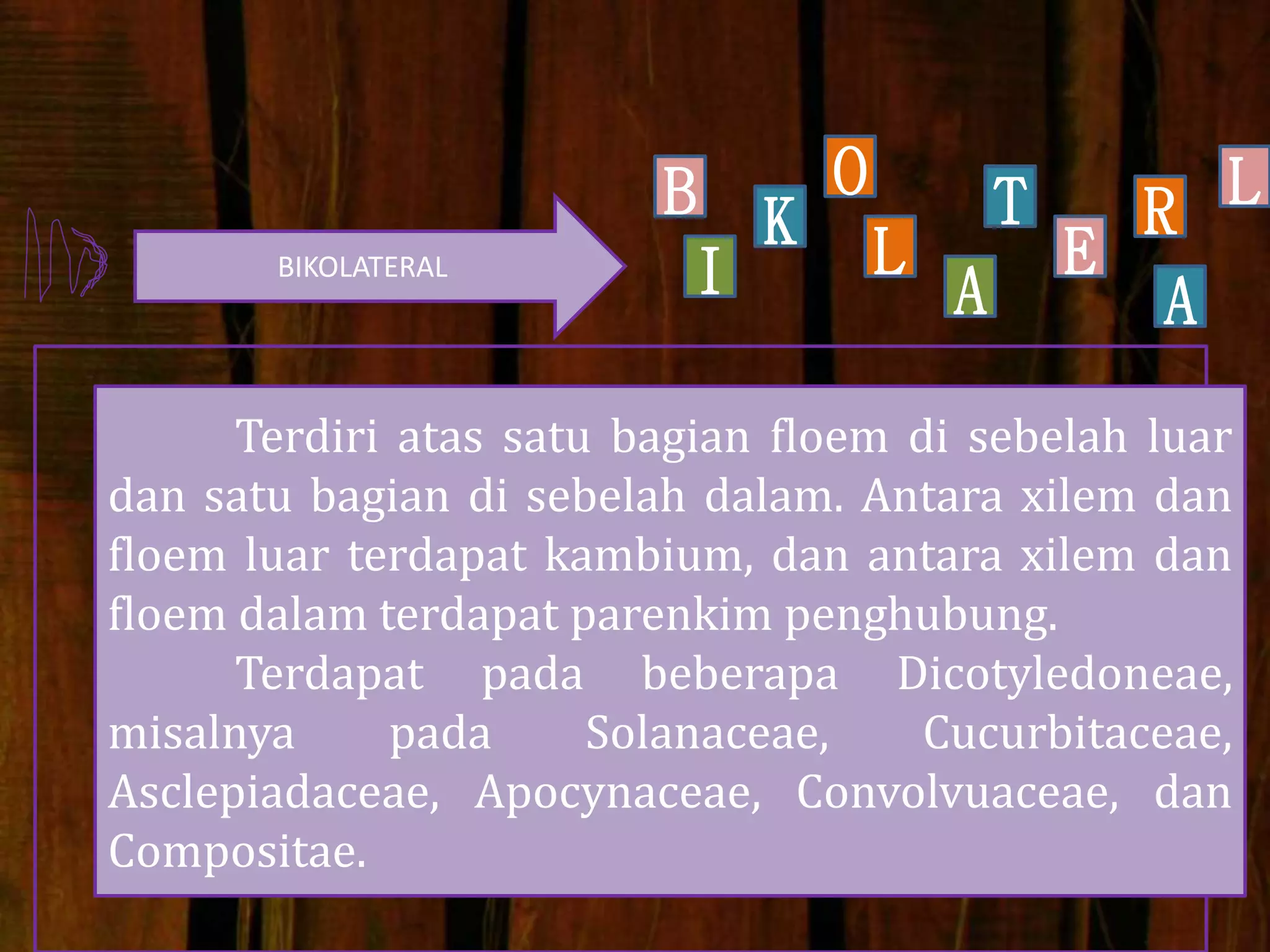 Anatomi batang | PPTX