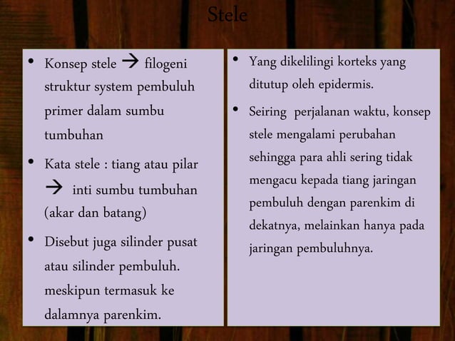 Anatomi batang | PPTX