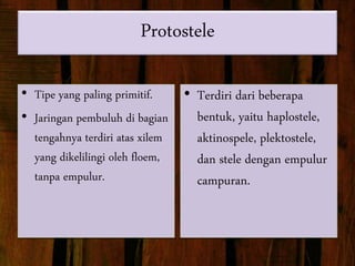 Anatomi batang | PPTX
