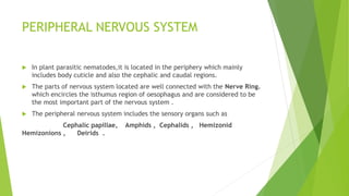 ANM Presentation.pptxxxxxxxxxxxxxxxxxxxf | PPT