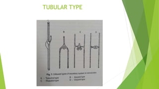 ANM Presentation.pptxxxxxxxxxxxxxxxxxxxf | PPTX