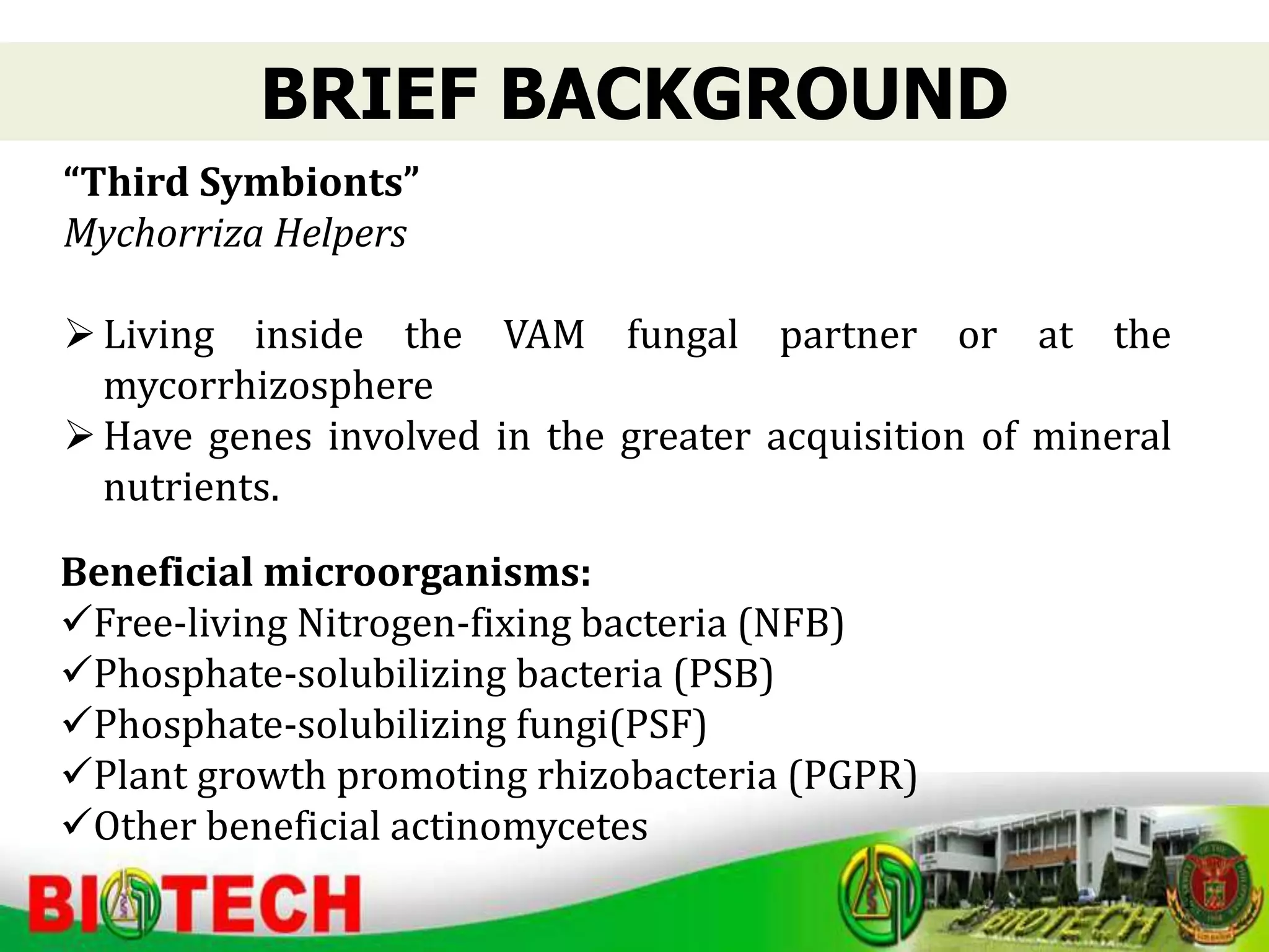 Harnessing Vesicular Arbuscular Mycorrhizal (VAM) | PPTX