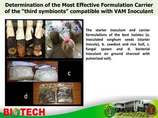 Harnessing Vesicular Arbuscular Mycorrhizal (VAM) | PPT