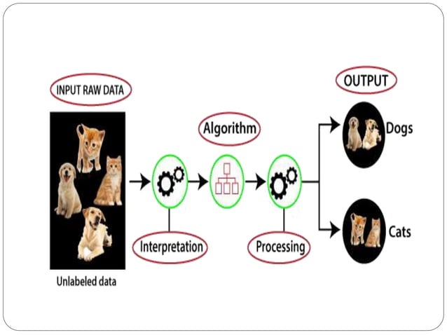 Artificial Neural Networks , Recurrent networks , Perceptron's | PPT