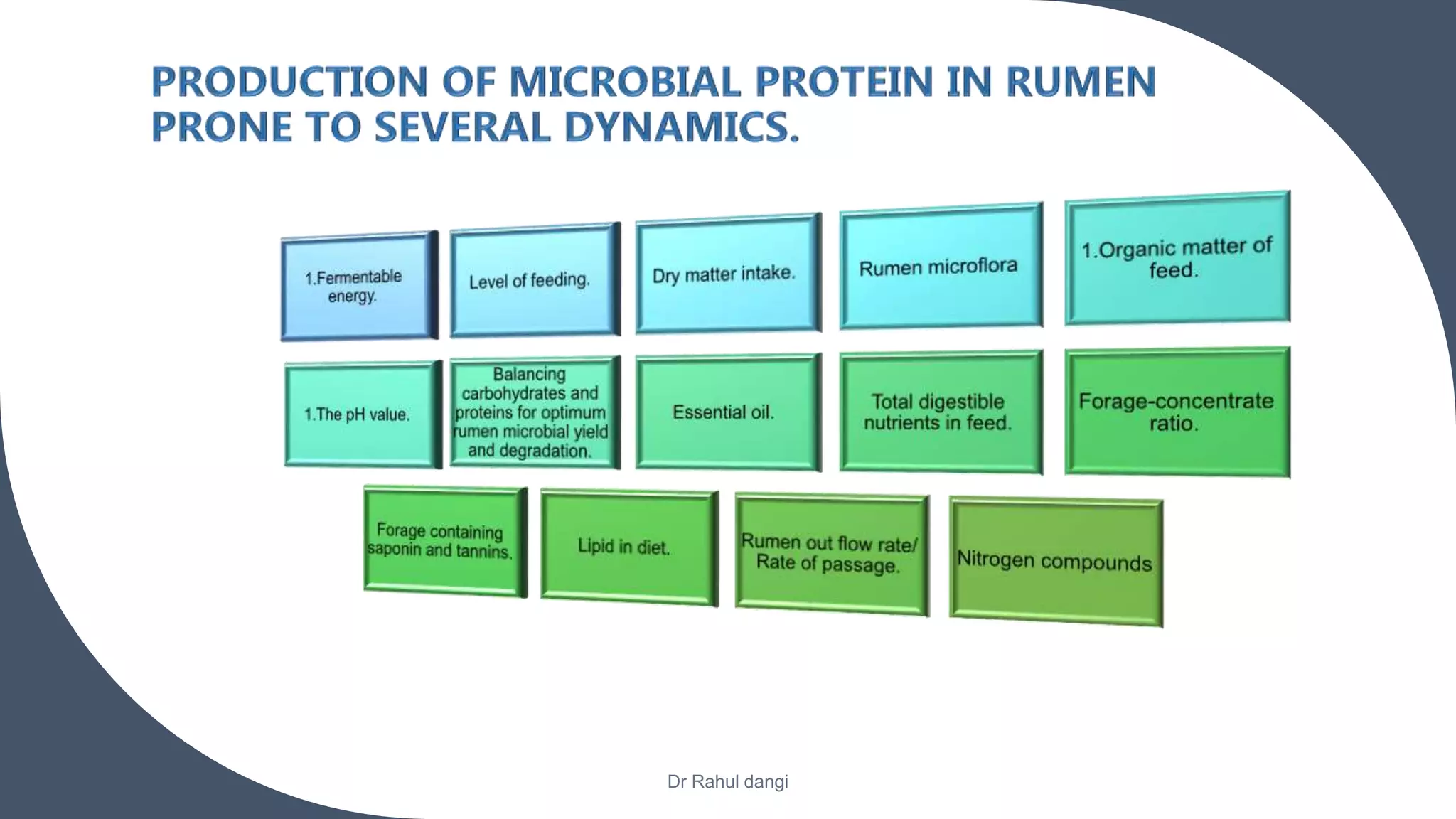 ANN 601 Dynamics Of Microbial Protein Synthesis In The Rumen.pptx | PPTX