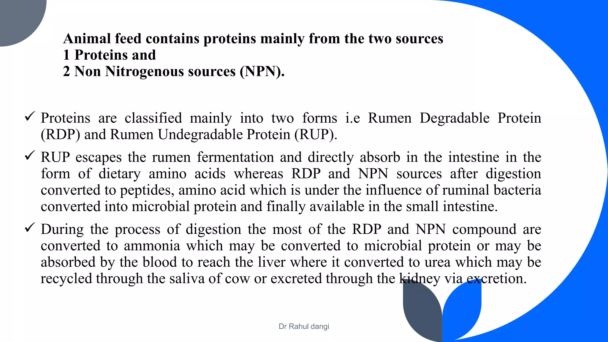ANN 601 Dynamics Of Microbial Protein Synthesis In The Rumen.pptx | PPTX