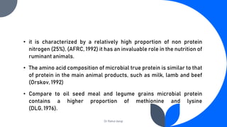 ANN 601 Dynamics Of Microbial Protein Synthesis In The Rumen.pptx | PPTX