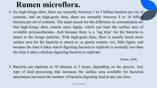 ANN 601 Dynamics Of Microbial Protein Synthesis In The Rumen.pptx | PPTX