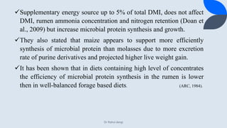 ANN 601 Dynamics Of Microbial Protein Synthesis In The Rumen.pptx | PPTX