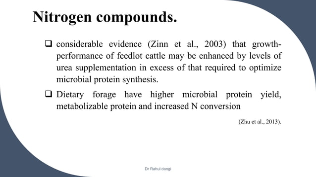 ANN 601 Dynamics Of Microbial Protein Synthesis In The Rumen.pptx | PPTX