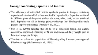 ANN 601 Dynamics Of Microbial Protein Synthesis In The Rumen.pptx | PPTX