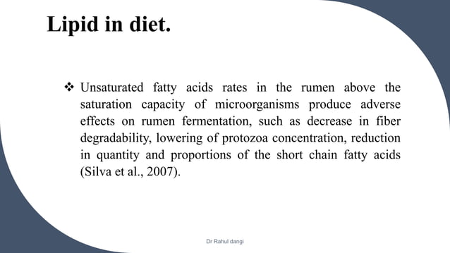ANN 601 Dynamics Of Microbial Protein Synthesis In The Rumen.pptx | PPTX