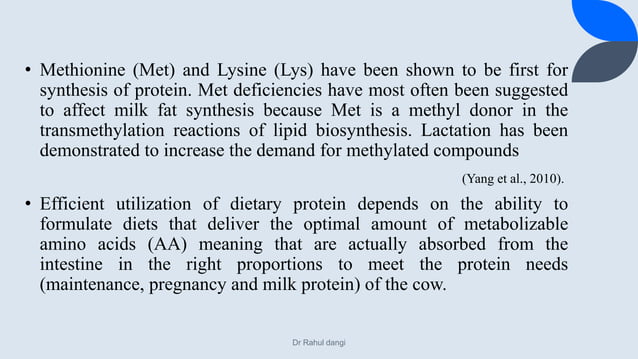 ANN 601 Dynamics Of Microbial Protein Synthesis In The Rumen.pptx | PPTX