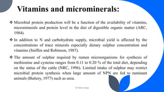 ANN 601 Dynamics Of Microbial Protein Synthesis In The Rumen.pptx | PPTX