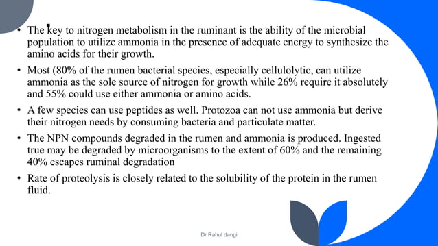 ANN 601 Dynamics Of Microbial Protein Synthesis In The Rumen.pptx | PPTX