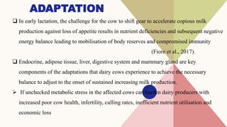 Balancing Fat Nutrition to Optimise Transition Cow Performance .pptx