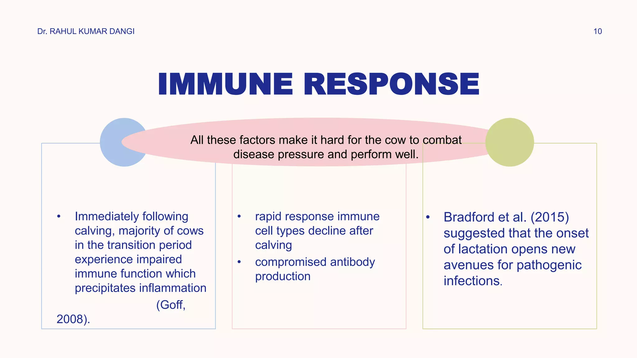 balancing fat nutrition to optimise transition cow performance animal ...