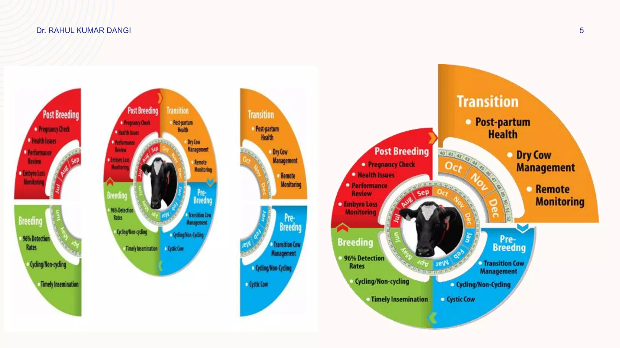 balancing fat nutrition to optimise transition cow performance animal ...